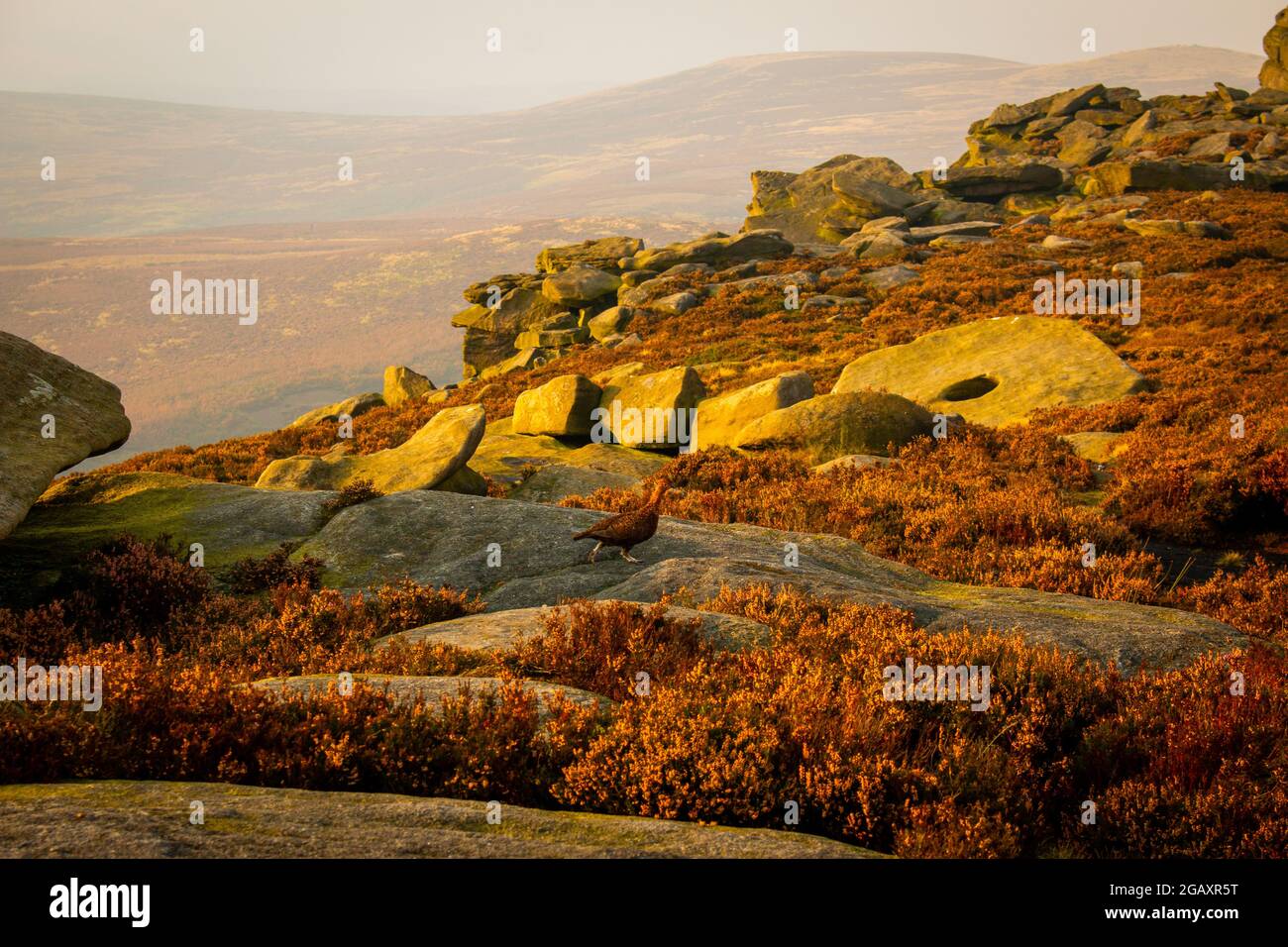 Ladybower reservoir peak district national park hi-res stock ...
