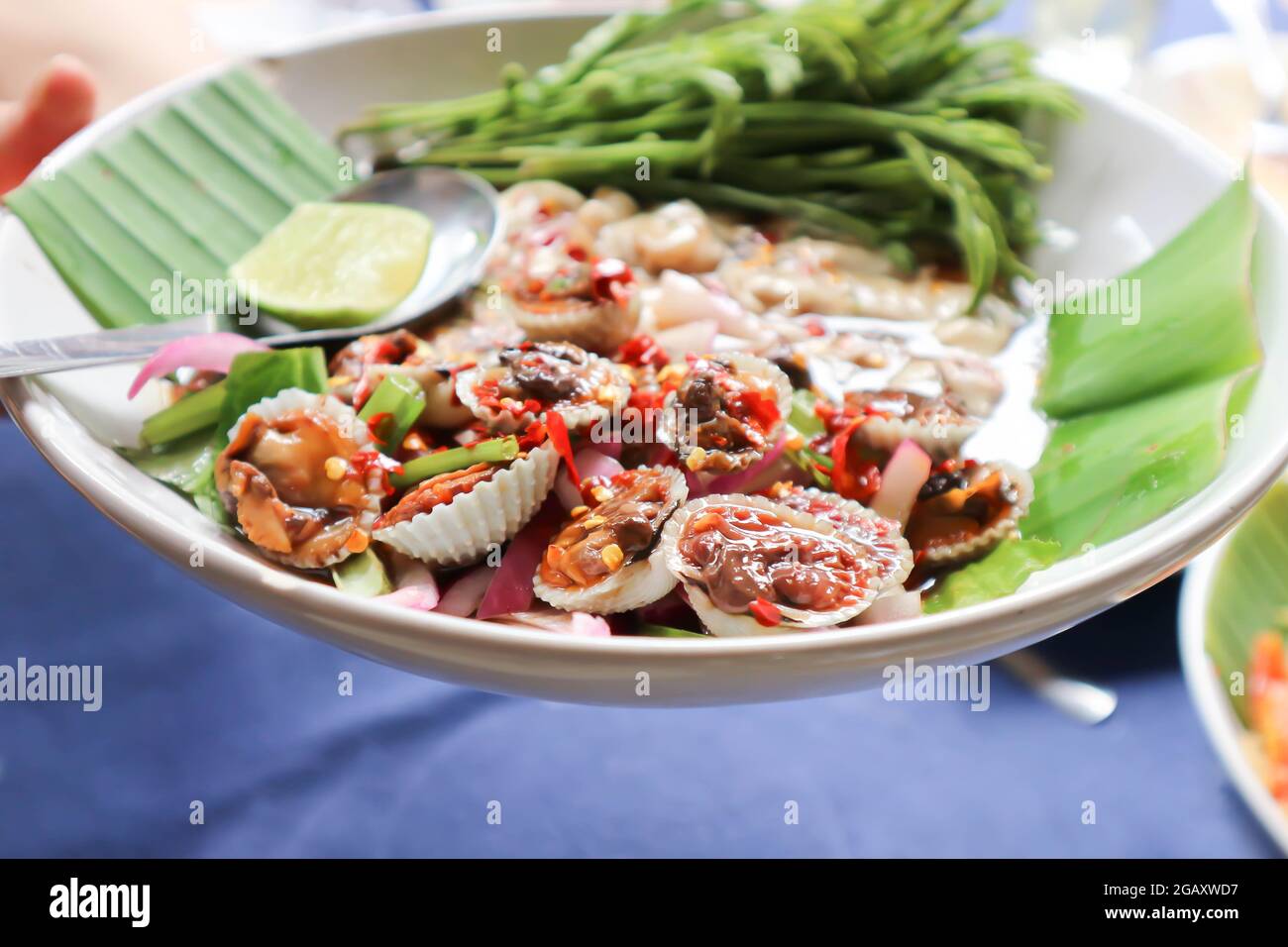 ark shell, cockle or spicy ark shell salad or shell salad for serve ...