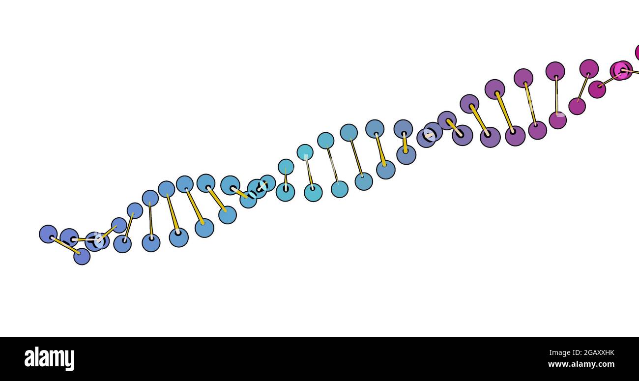 color visualization of DNA analysis isolated on white background 3d ...