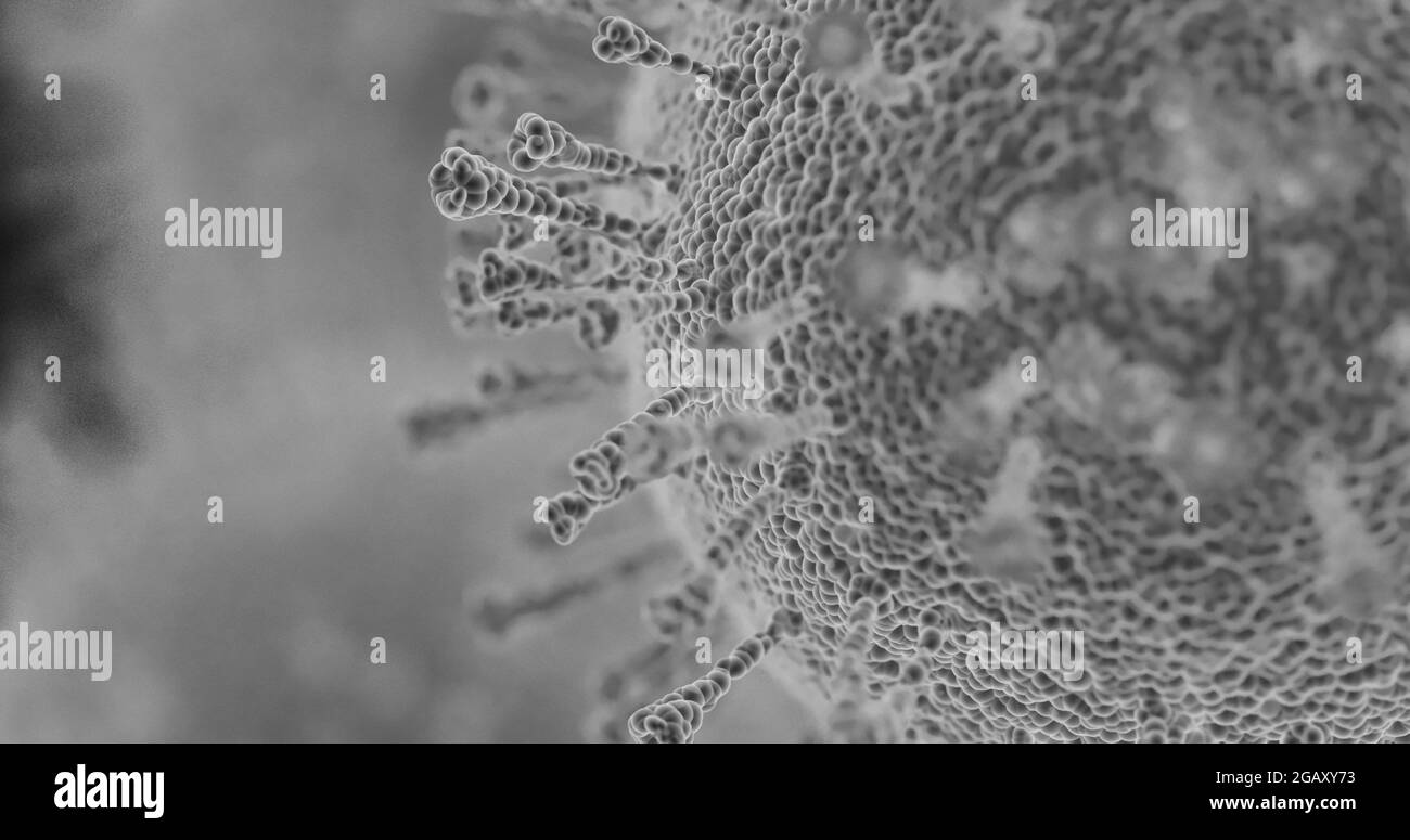 Black and white 3d simulation of corona virus. Artistic rendering of ...