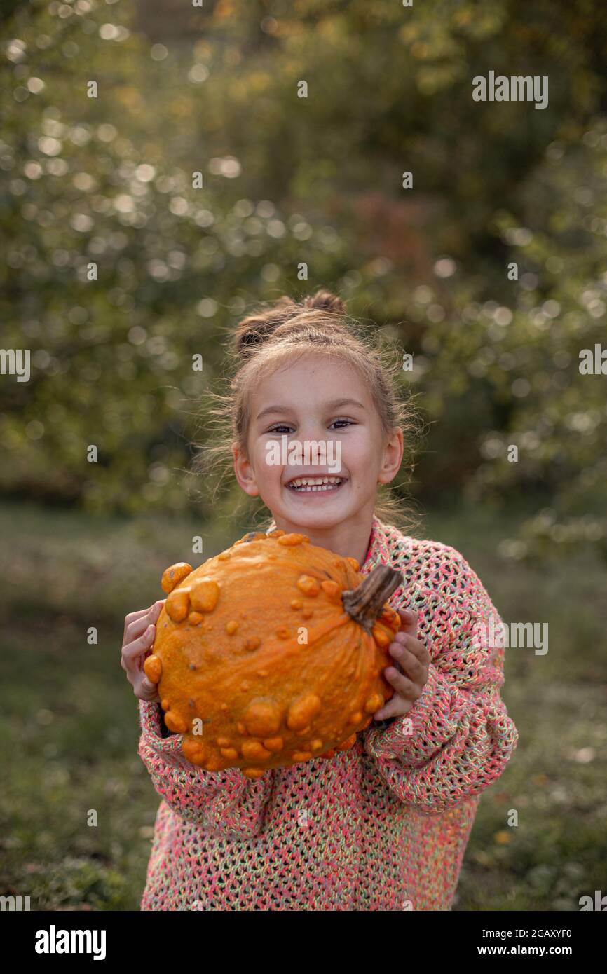 Deformed ugly orange pumpkin in a child hands Stock Photo - Alamy