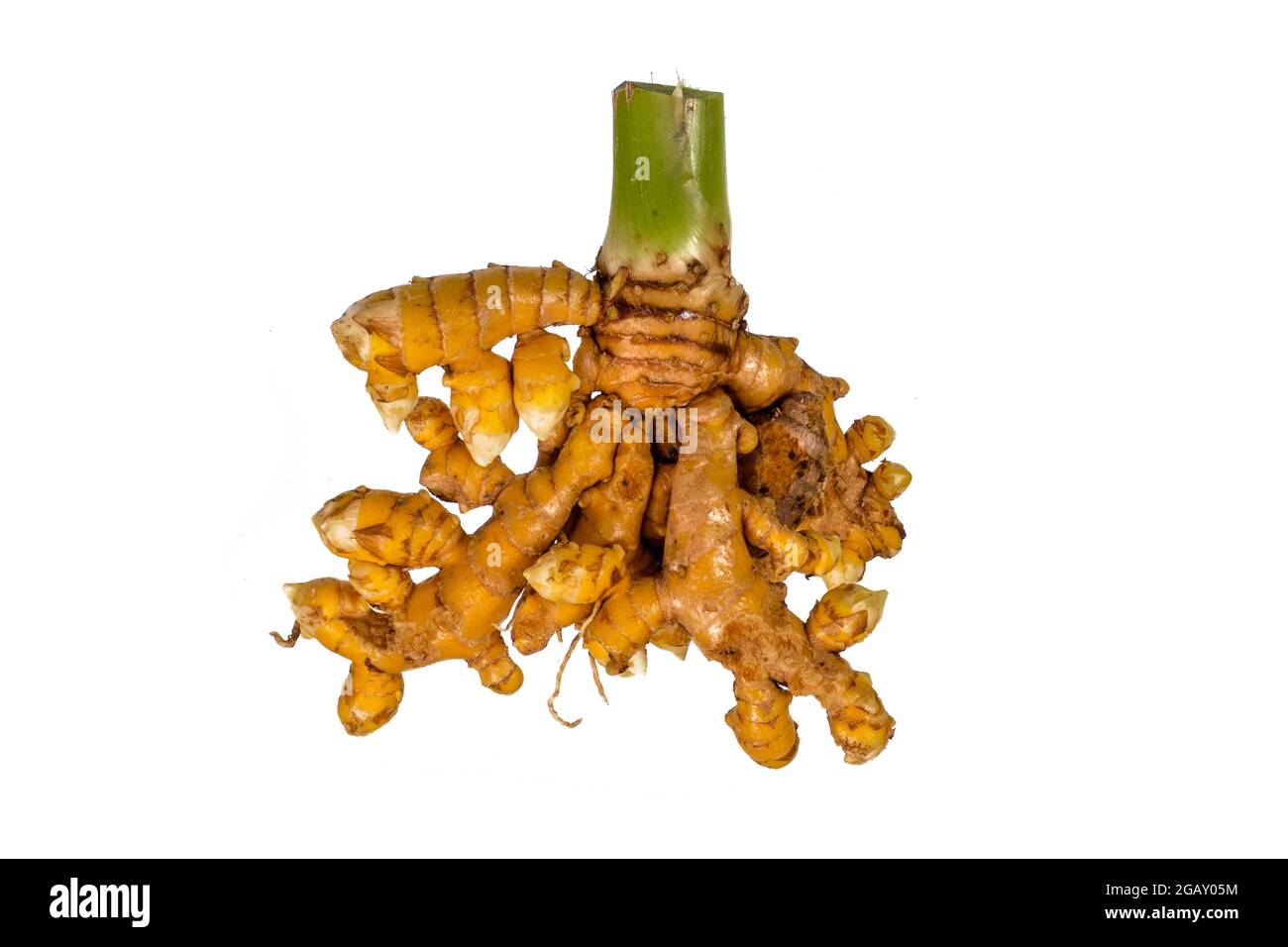 turmeric root, and ground spice Stock Photo - Alamy