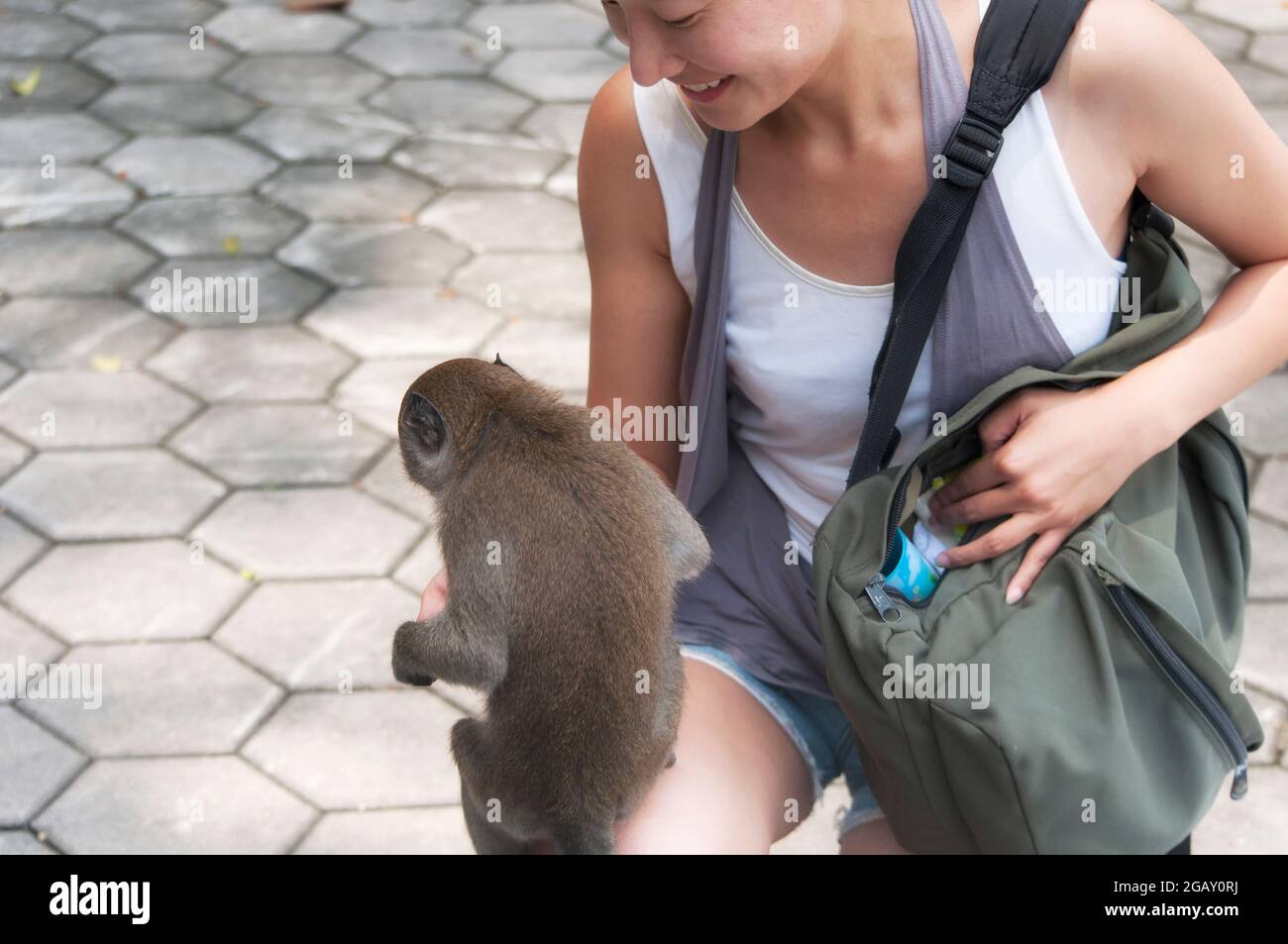 Smiling macaque hi-res stock photography and images - Alamy