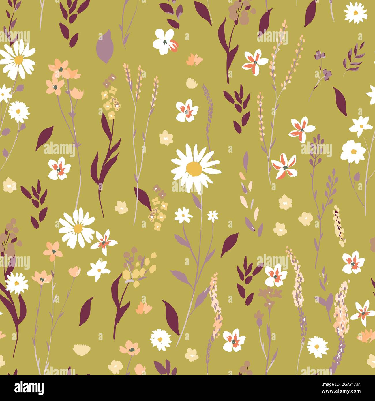 White wildflowers bloom on Stock Vector Images - Alamy