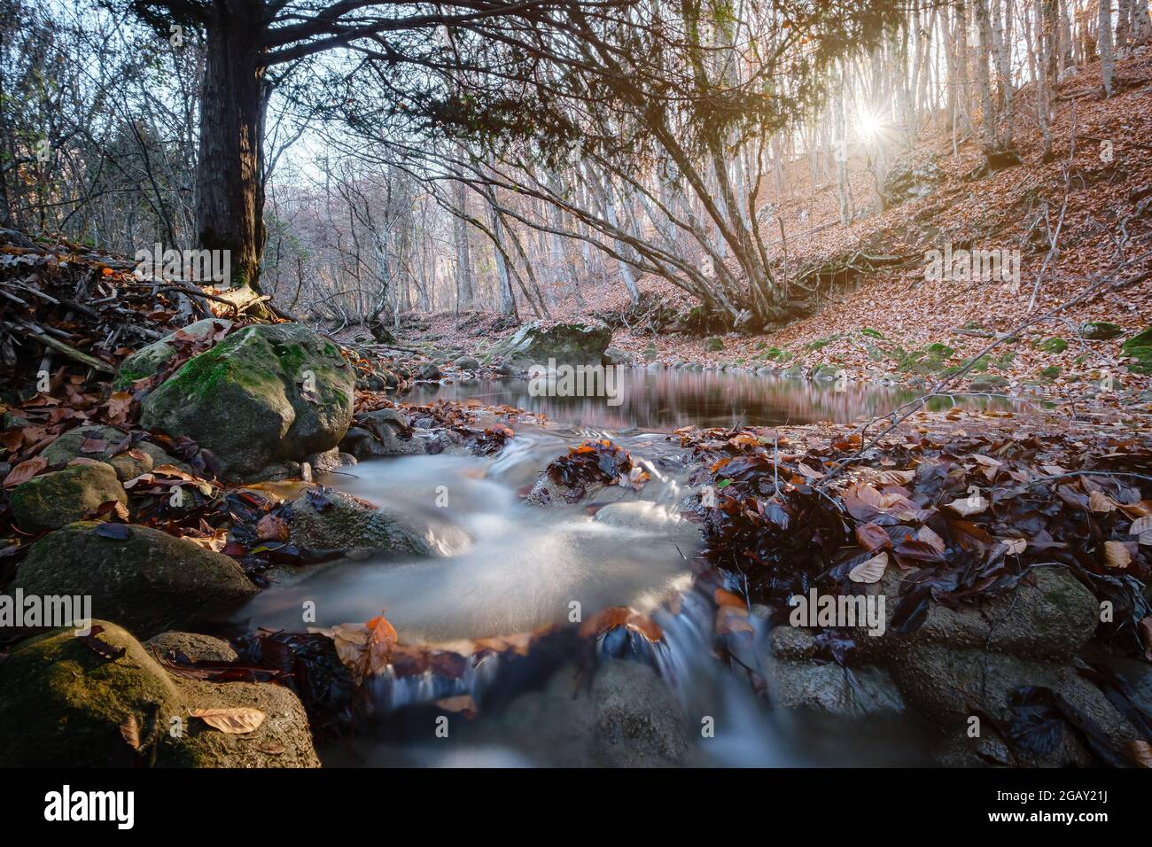 Autumn forest river creek view. Creek from the mountain waterfall in ...