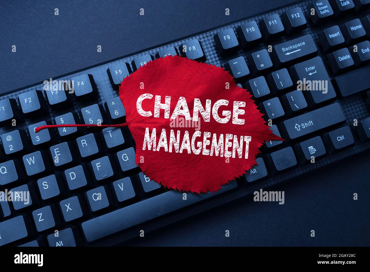 Handwriting text Change Management, Business concept development within ...
