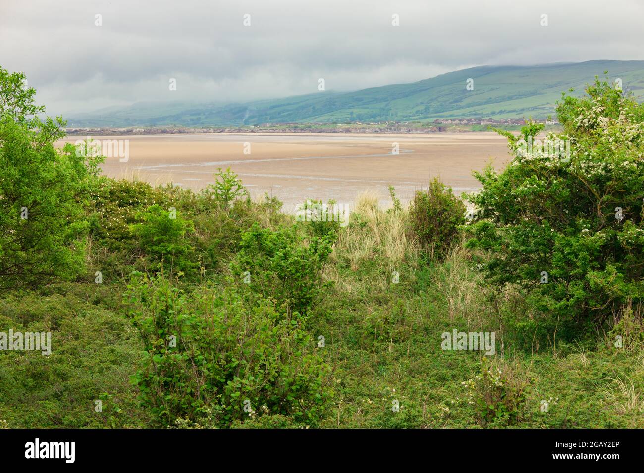 The Sandscale Haws national nature reserve sand dune landscape and ...