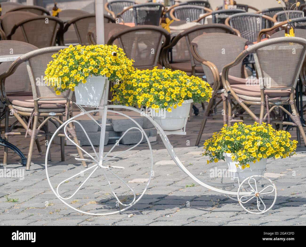 Cycle bike flower display hi-res stock photography and images - Alamy
