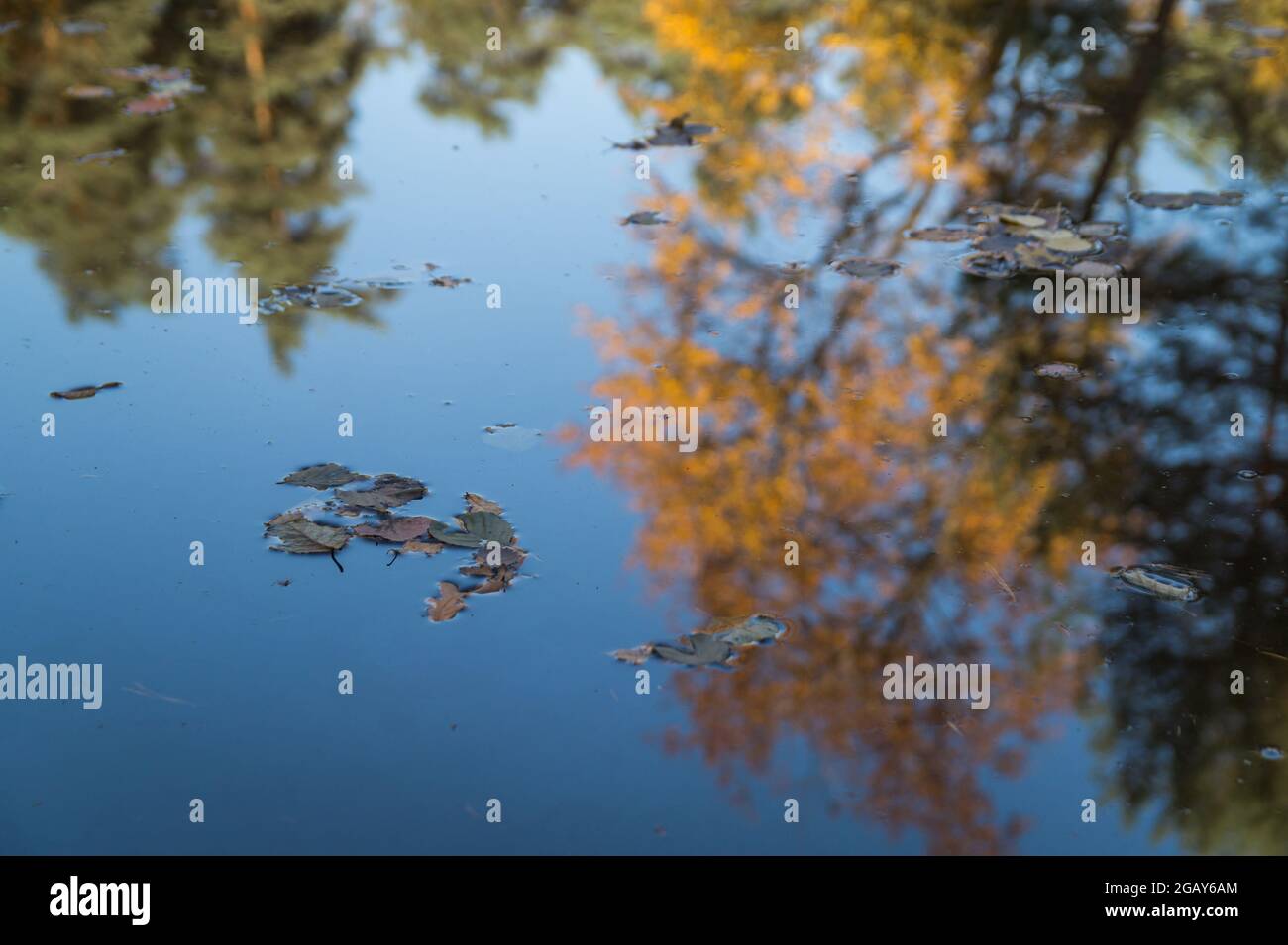 magical reflection of trees and sky in a remote forest lake Stock Photo ...