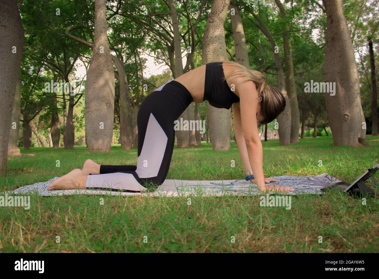 Horizontal image of a young girl doing the cat pose outdoor in city ...