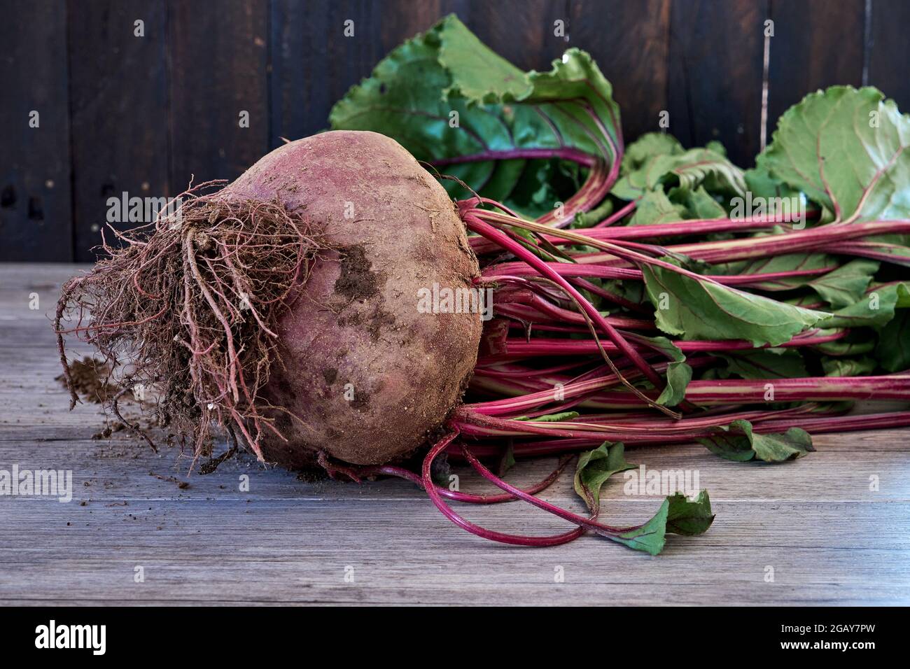 Golden beet hi-res stock photography and images - Alamy