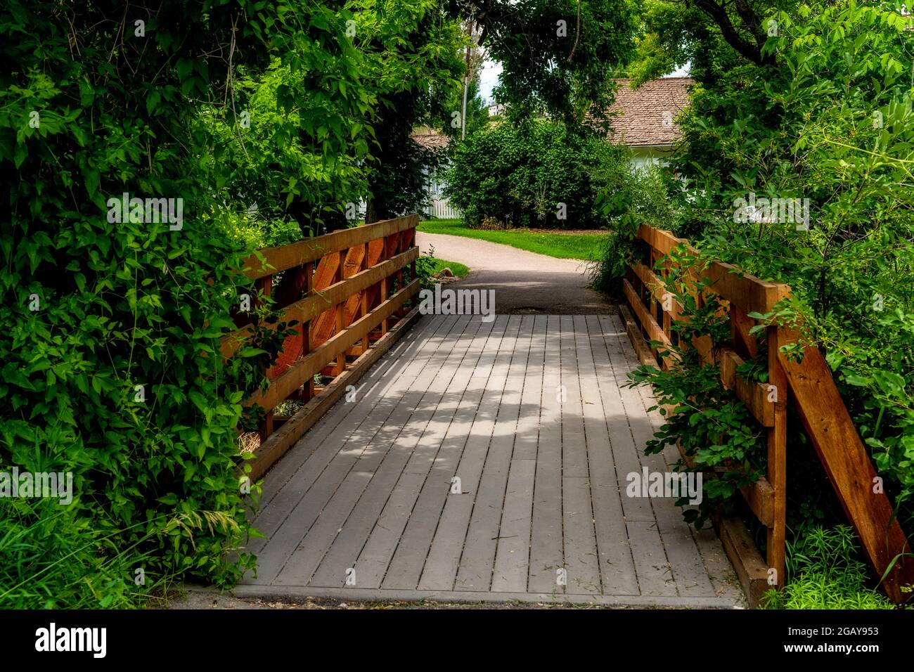 Overgrown bridge hi-res stock photography and images - Alamy