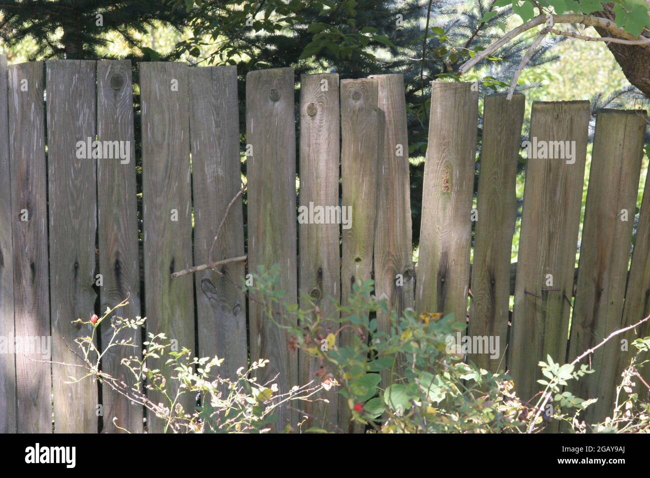 Old fence, old fence in the countryside, wooden fence, country Stock ...