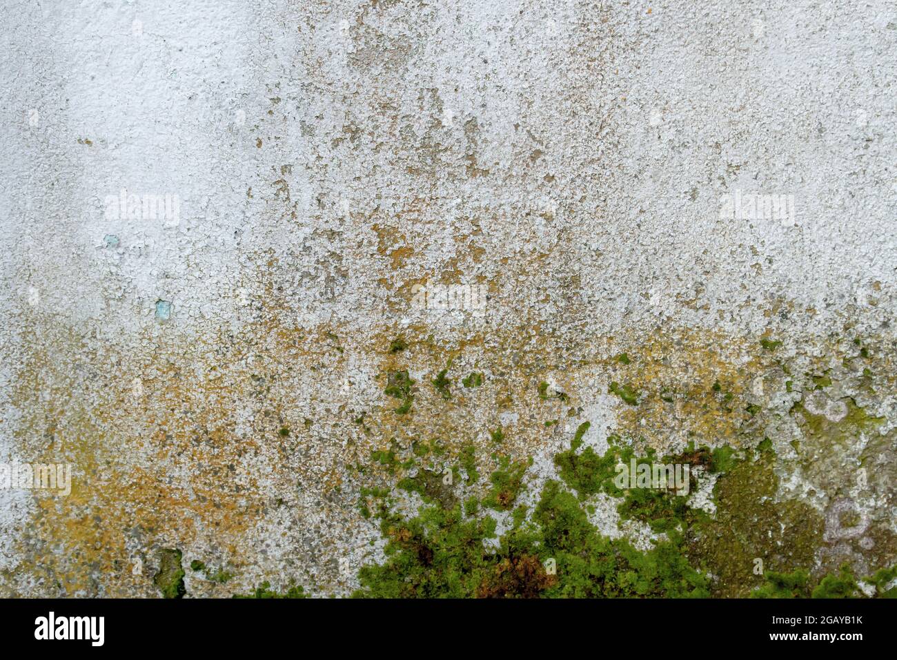 Damp wall hi-res stock photography and images - Alamy