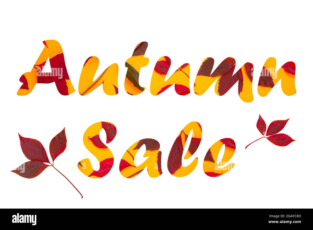 Autumn sale sign made from autumn leaves on white background Stock ...