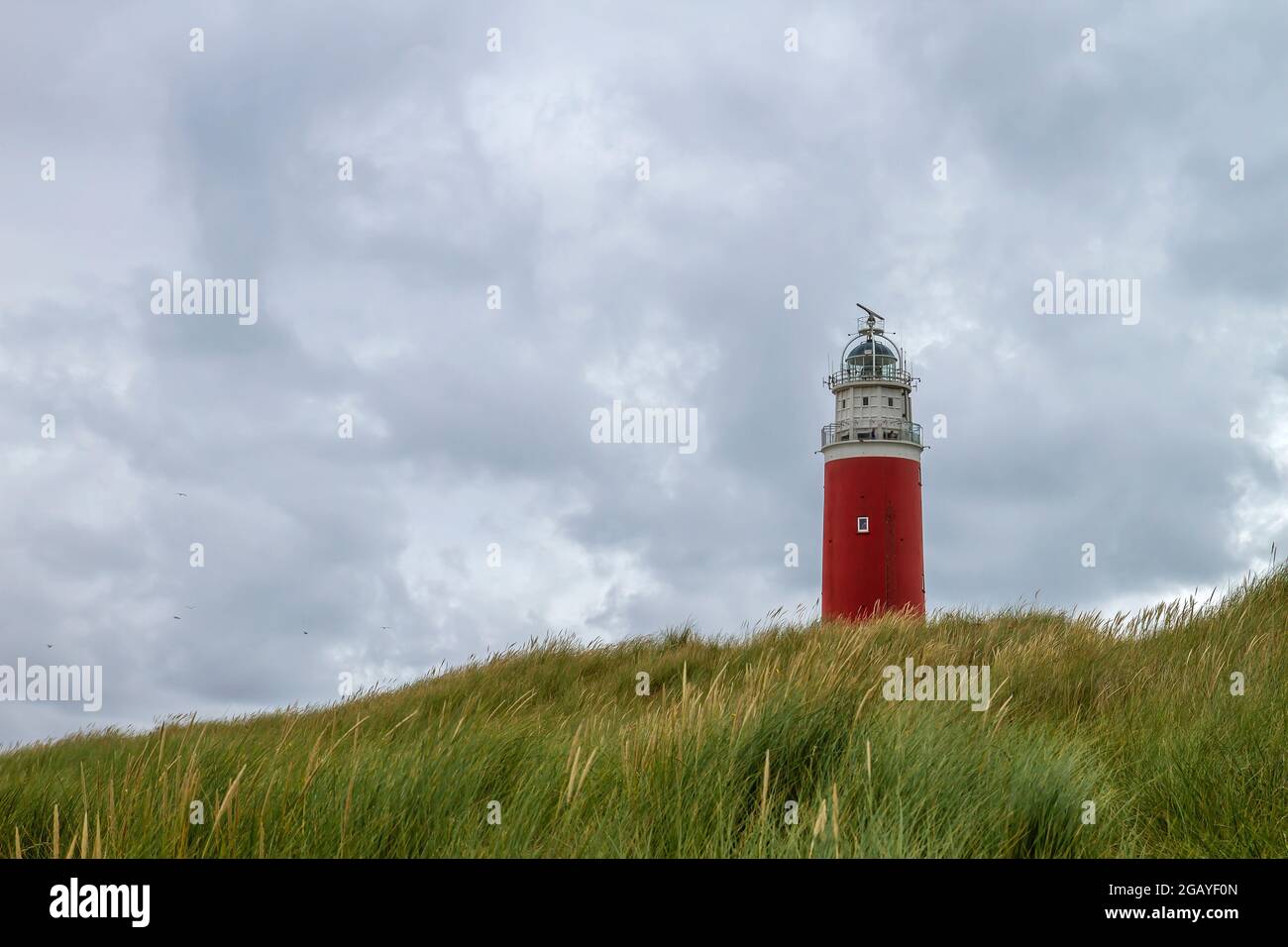 Eierland Lighthouse in Texel island, Wadden sea, North Holland ...
