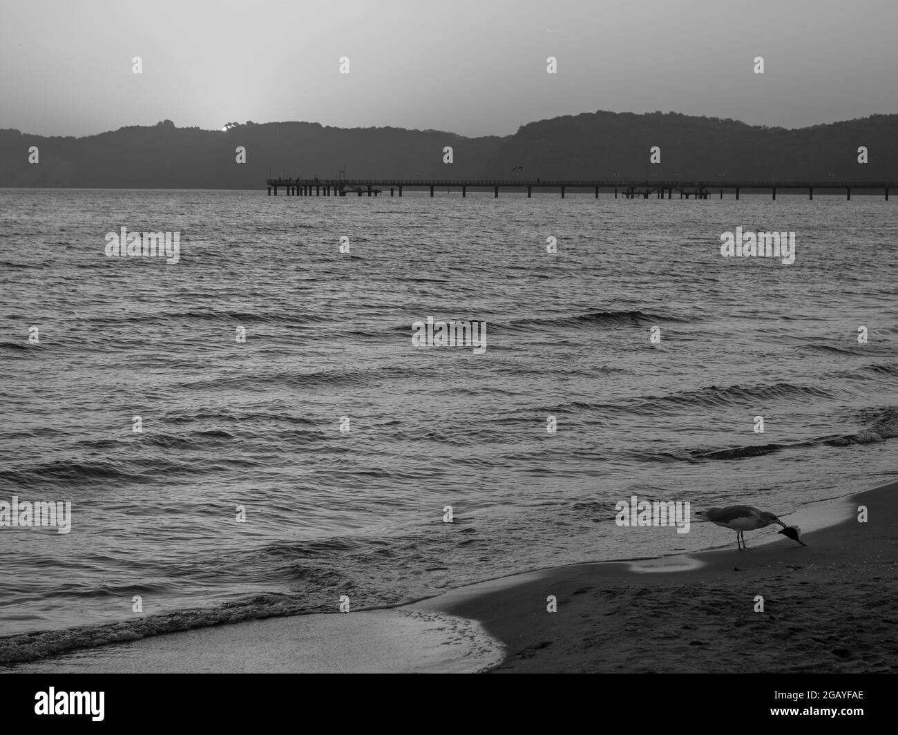 sunrise at the beach of binz Stock Photo - Alamy