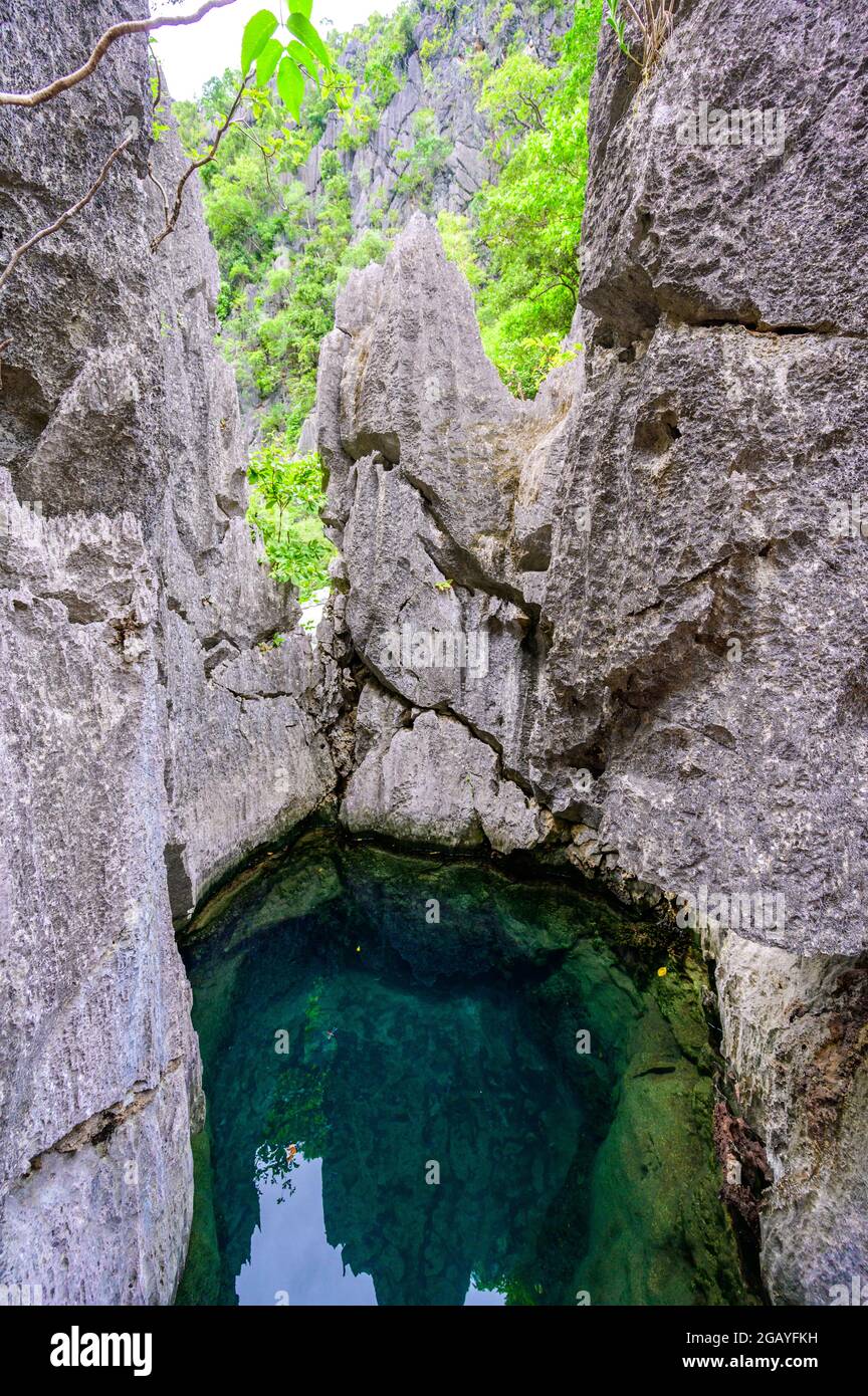 Barracuda Lake on paradise island, Coron, Palawan, Philippines ...