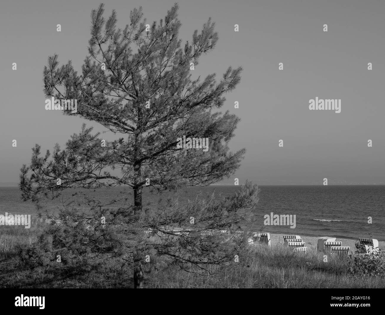 sunrise at the beach of binz Stock Photo - Alamy
