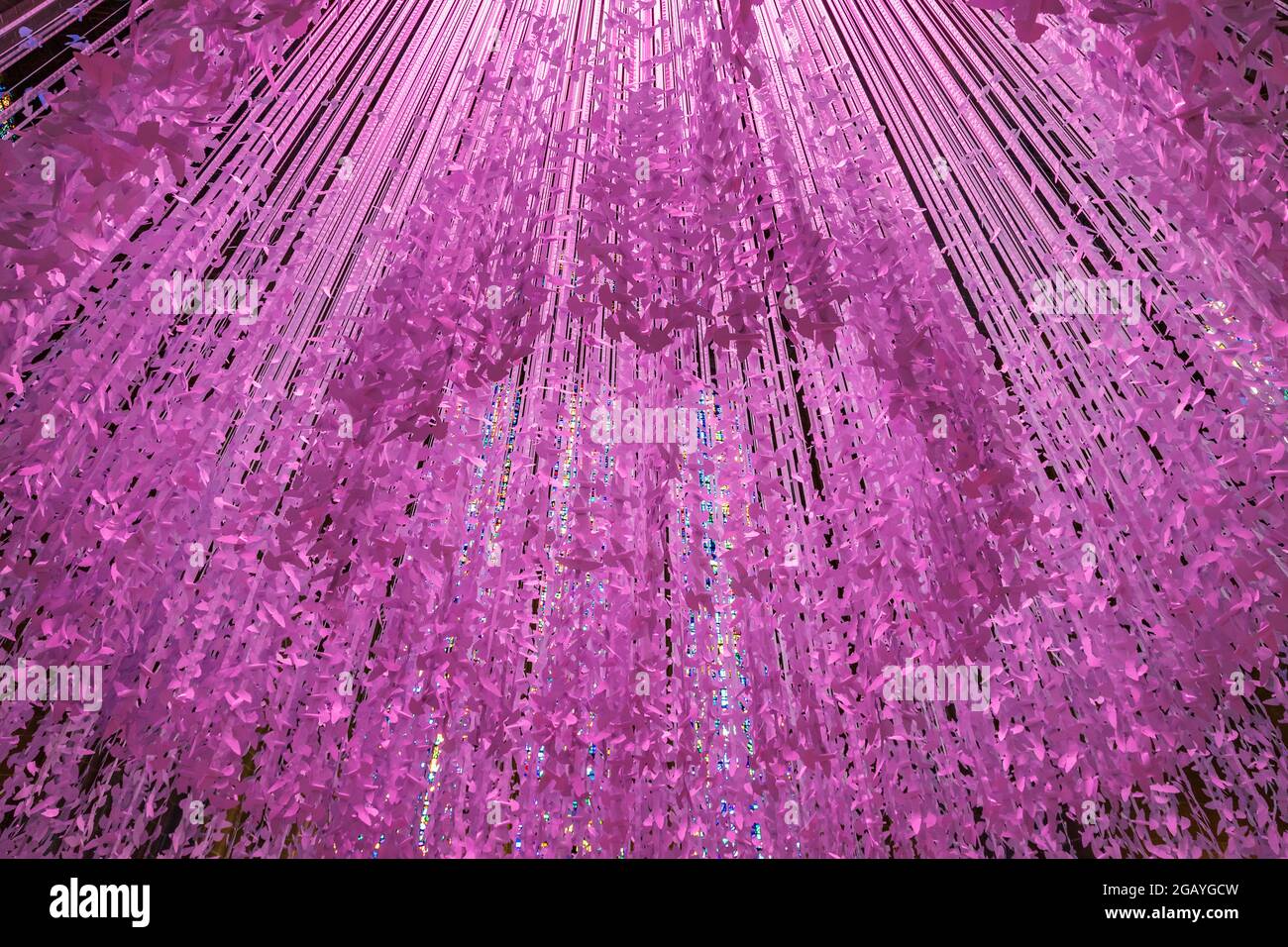 Peace Doves art installation seen in the Anglican Cathedral in ...
