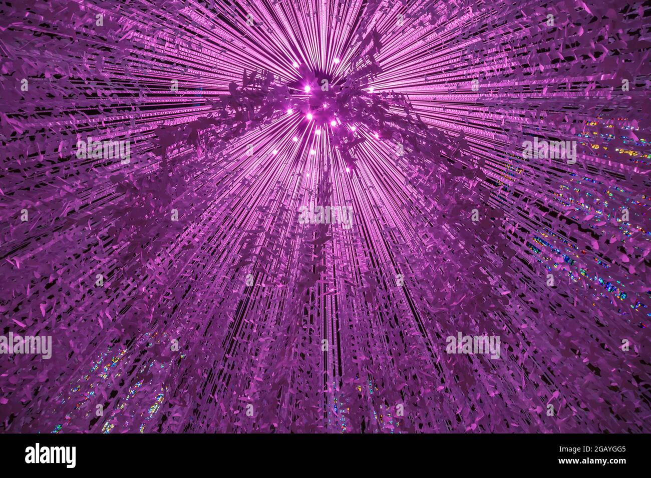 Peace Doves art installation seen in the Anglican Cathedral in ...