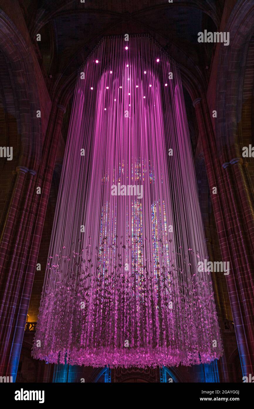 Peace Doves art installation seen in the Anglican Cathedral in ...
