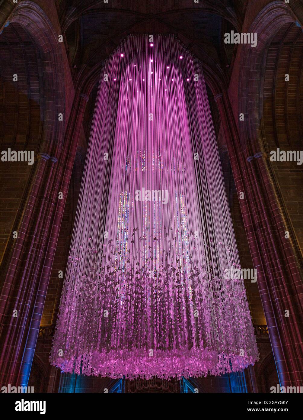 Peace Doves art installation seen in the Anglican Cathedral in ...