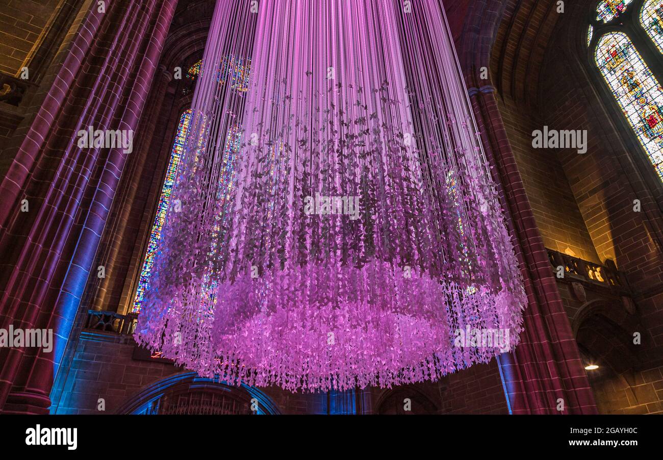 Peace Doves art installation seen in the Anglican Cathedral in ...