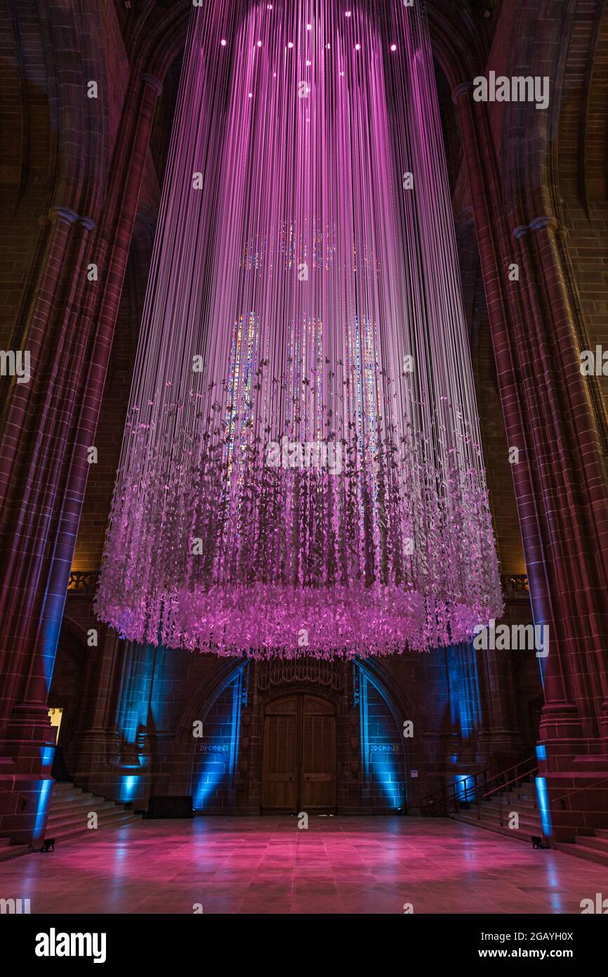 Peace Doves art installation seen in the Anglican Cathedral in ...