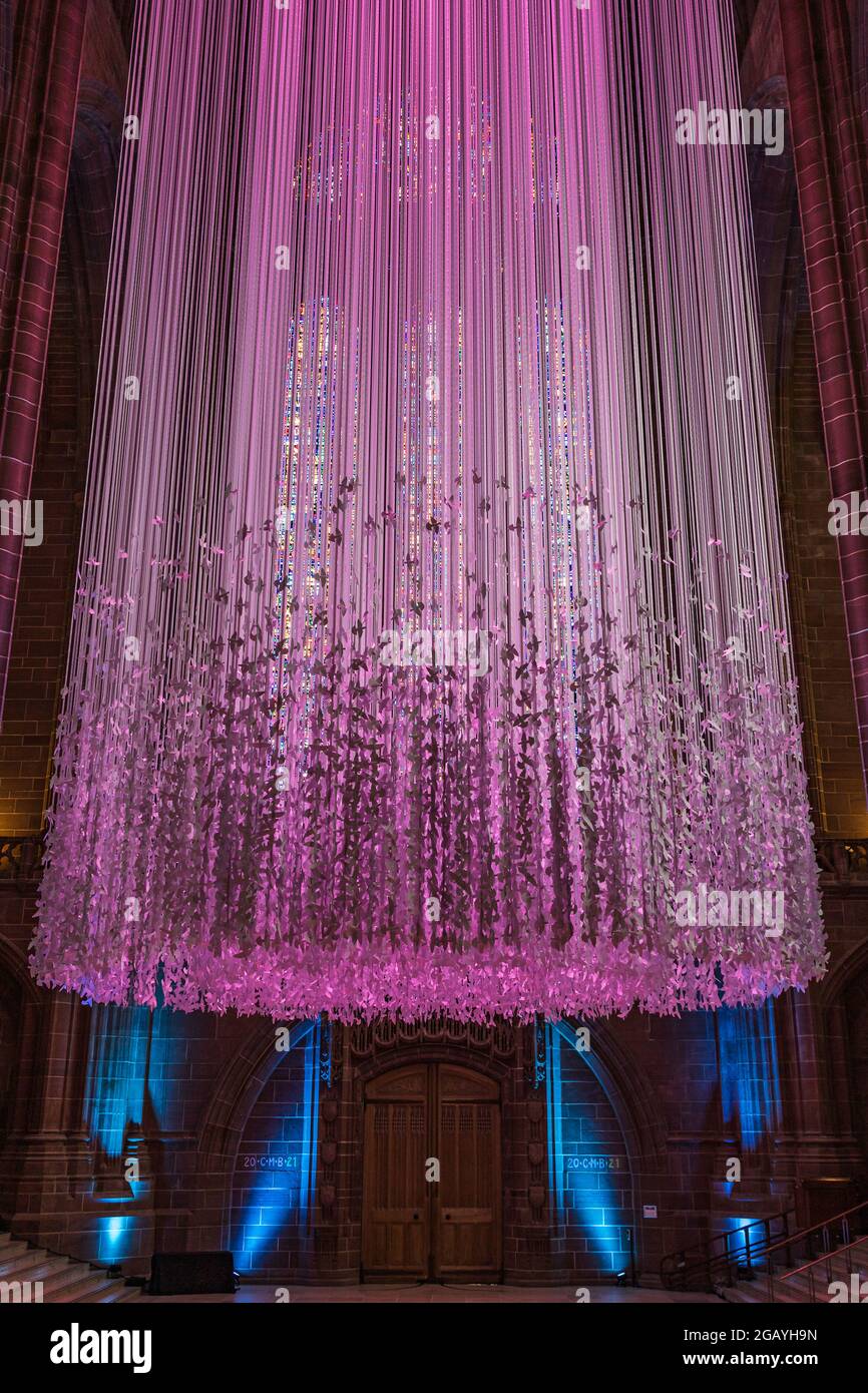 Peace Doves art installation seen in the Anglican Cathedral in ...