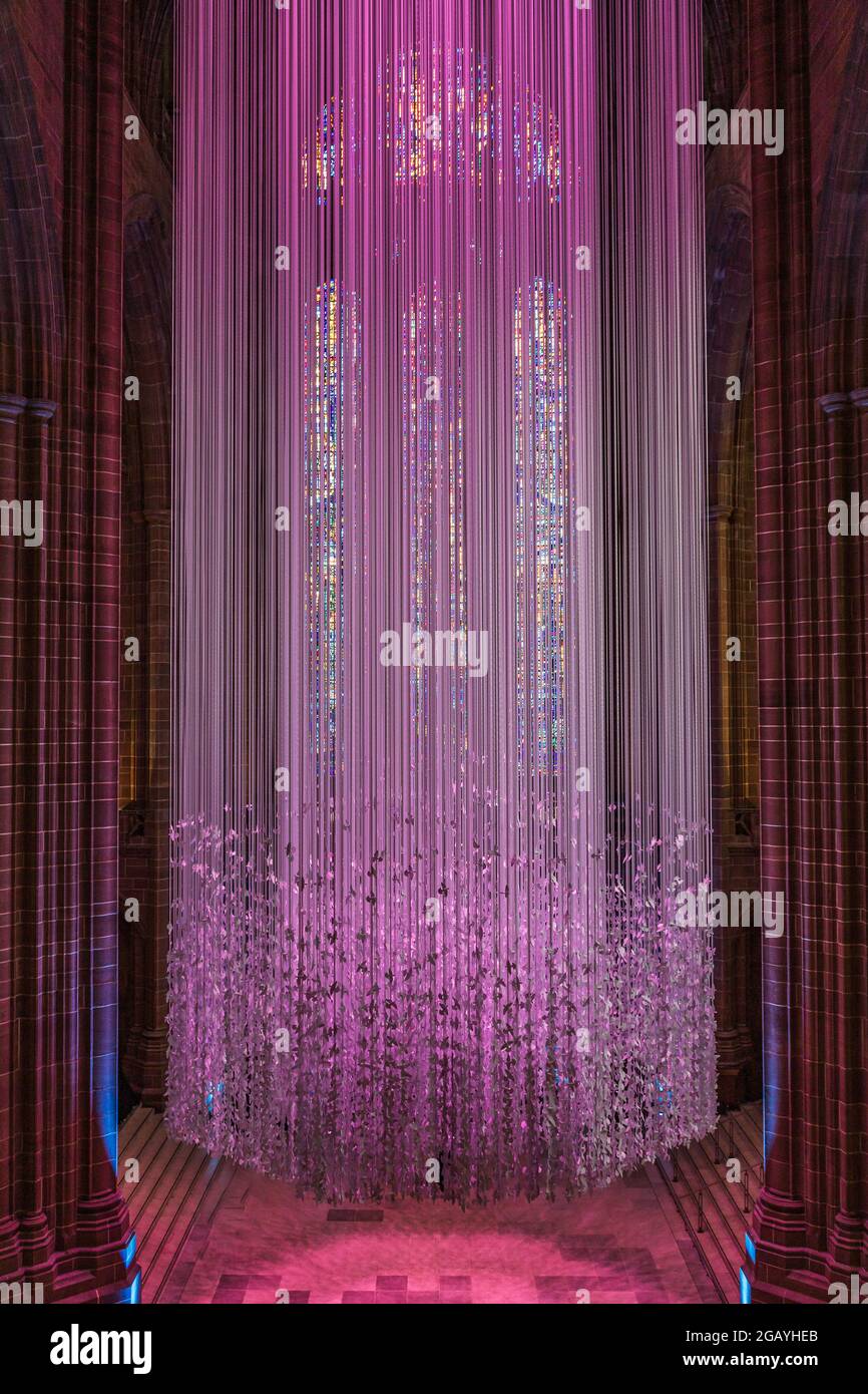 Peace Doves art installation seen in the Anglican Cathedral in ...