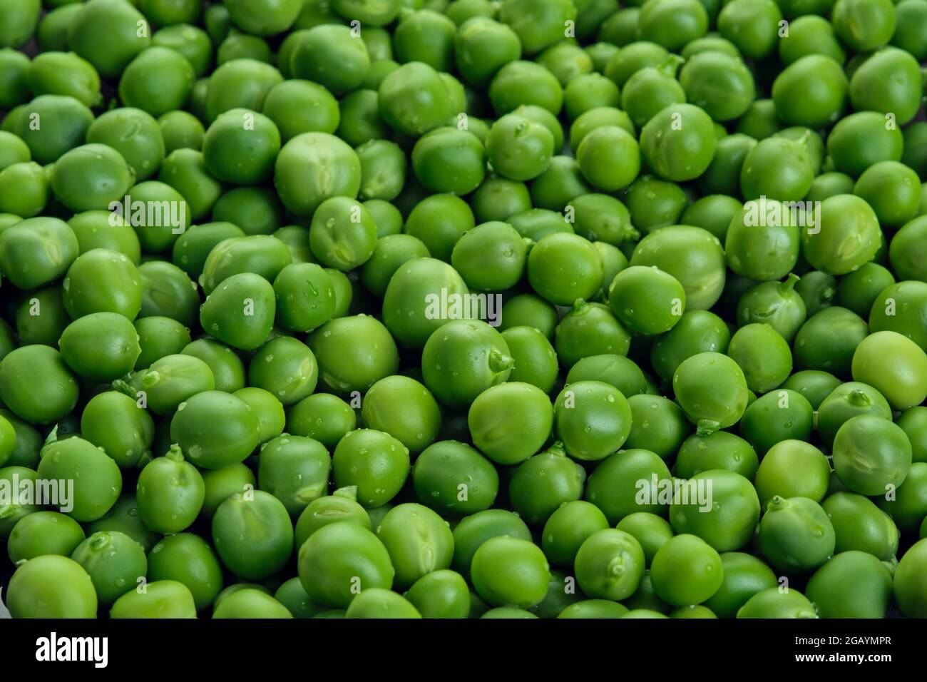 Green pods hi-res stock photography and images - Alamy