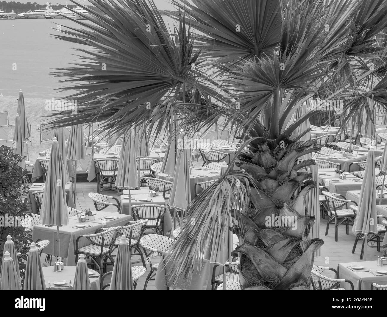 the city of cannes in france Stock Photo - Alamy