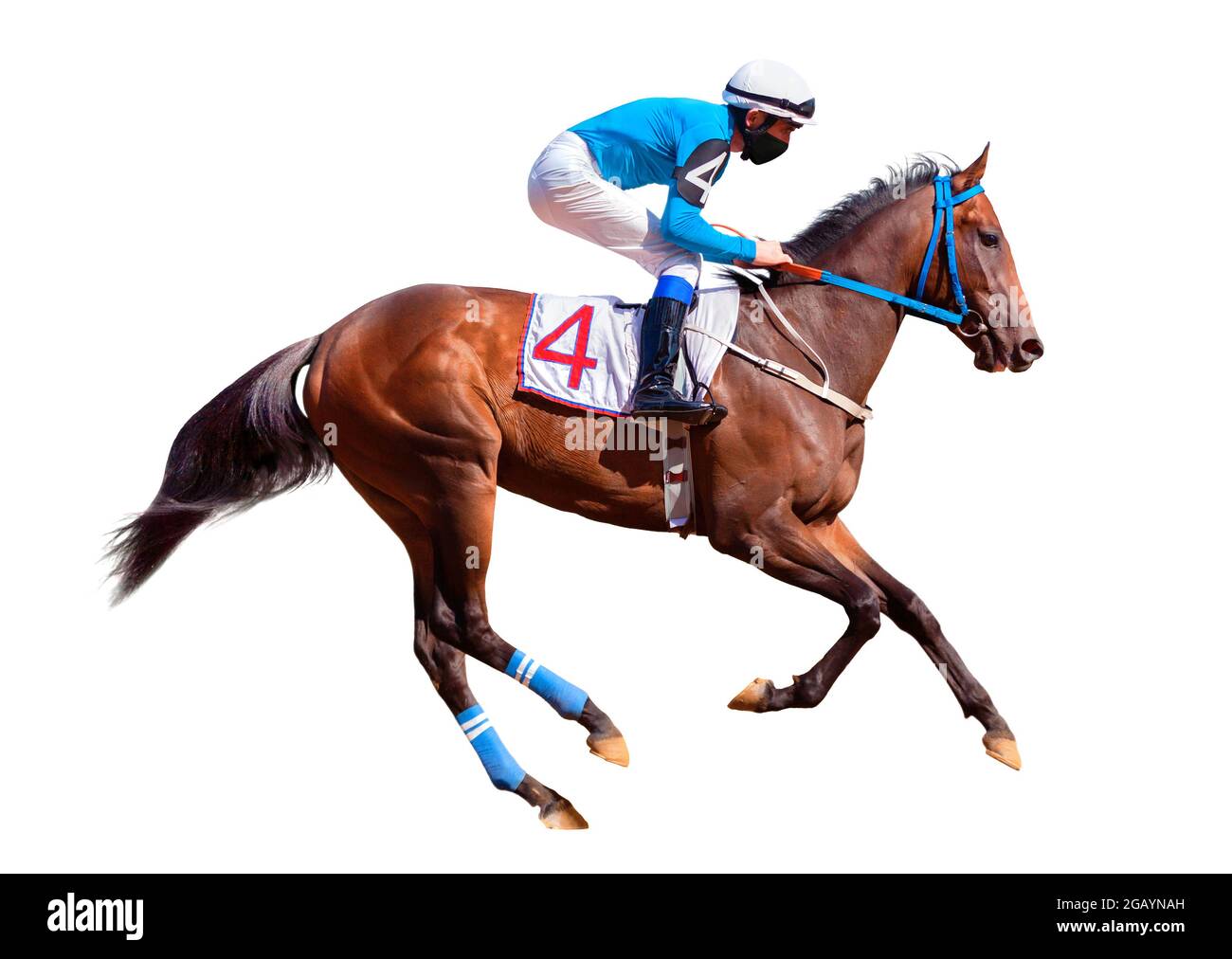 Horse racing jockey. Sport. Champion. Racetrack. Equestrian Isolated on ...