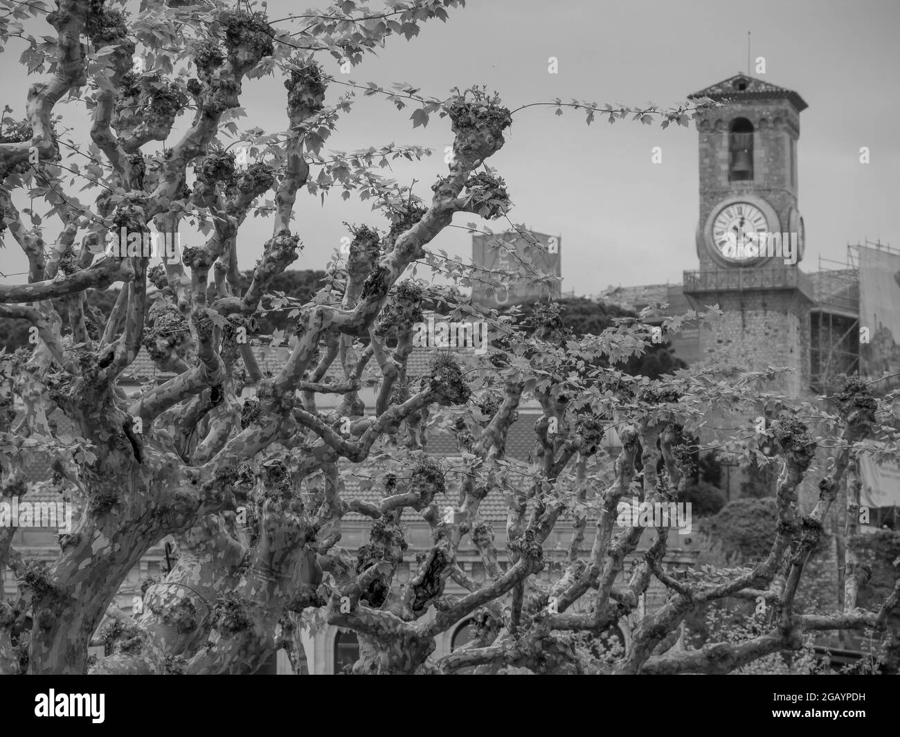 the city of cannes in france Stock Photo - Alamy