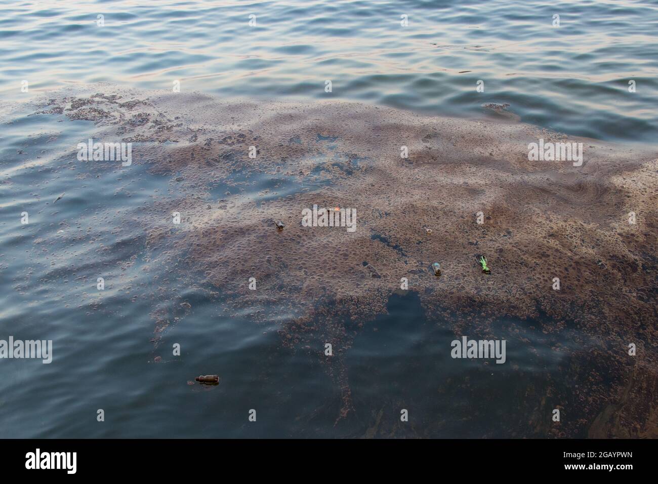 Mucilage on the Caspian sea surface. Environmental problem of ...