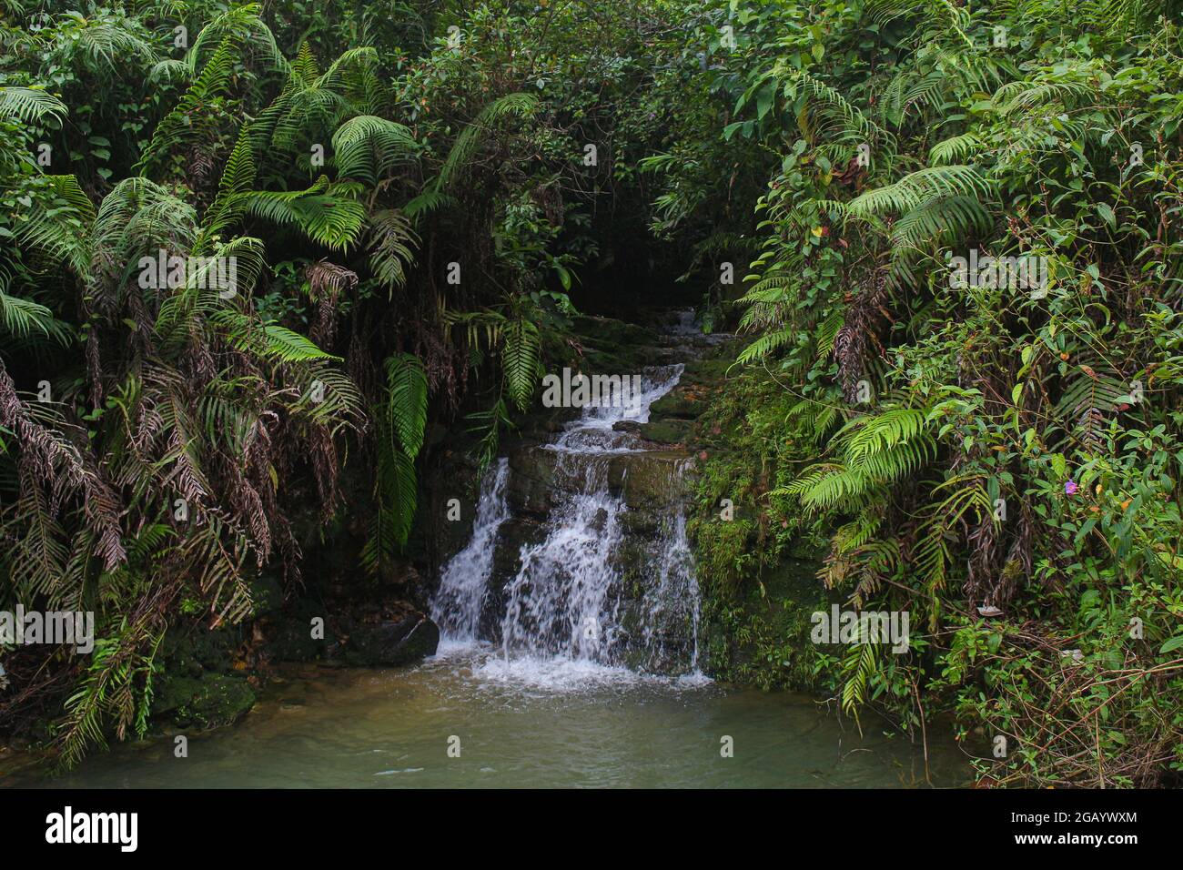 This is the newly discovered waterfall in the Sreepur region of Sylhet ...