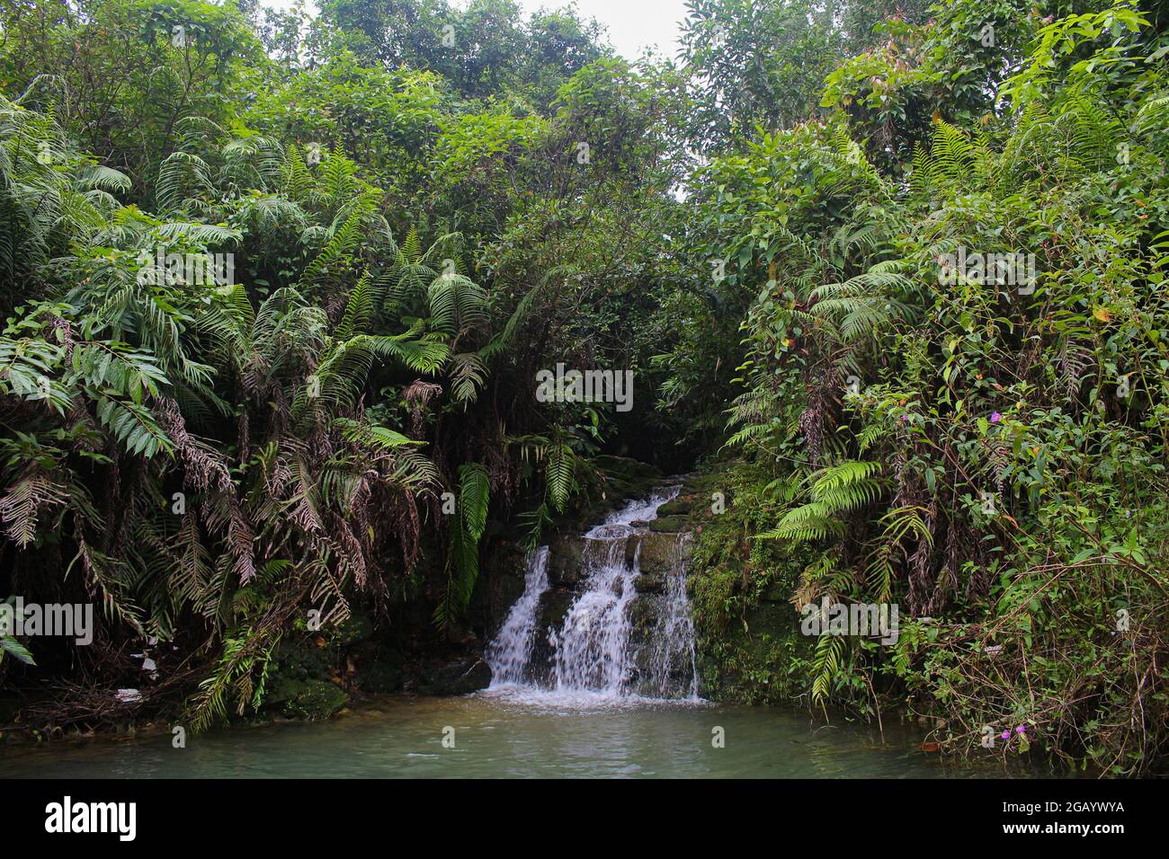 Jharana Photo 10 Jharna / Waterfall String Light At ₹ 850/piece In