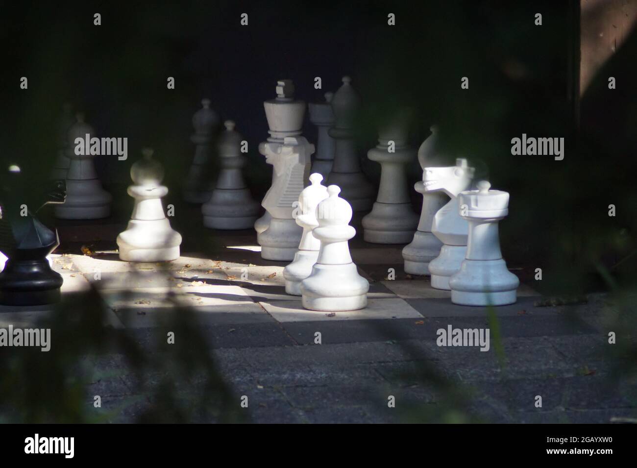 Open air chess hi-res stock photography and images - Alamy