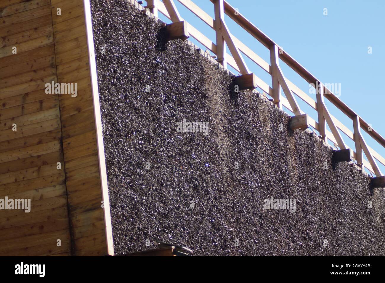 Gradierwerk in Essen - Grugapark Stock Photo - Alamy