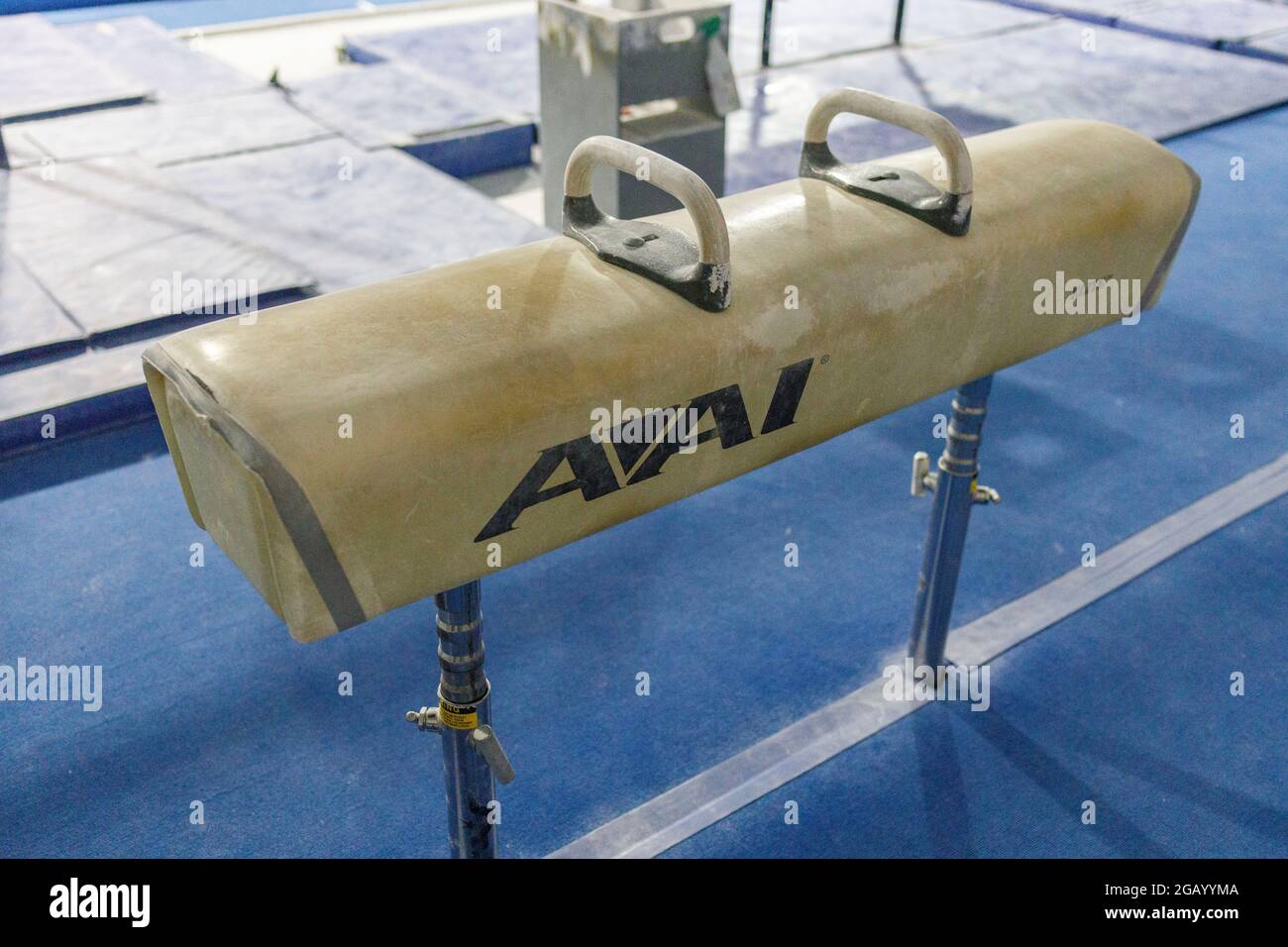 Columbus, United States. 01st Aug, 2021. A Pommel Horse in the ...