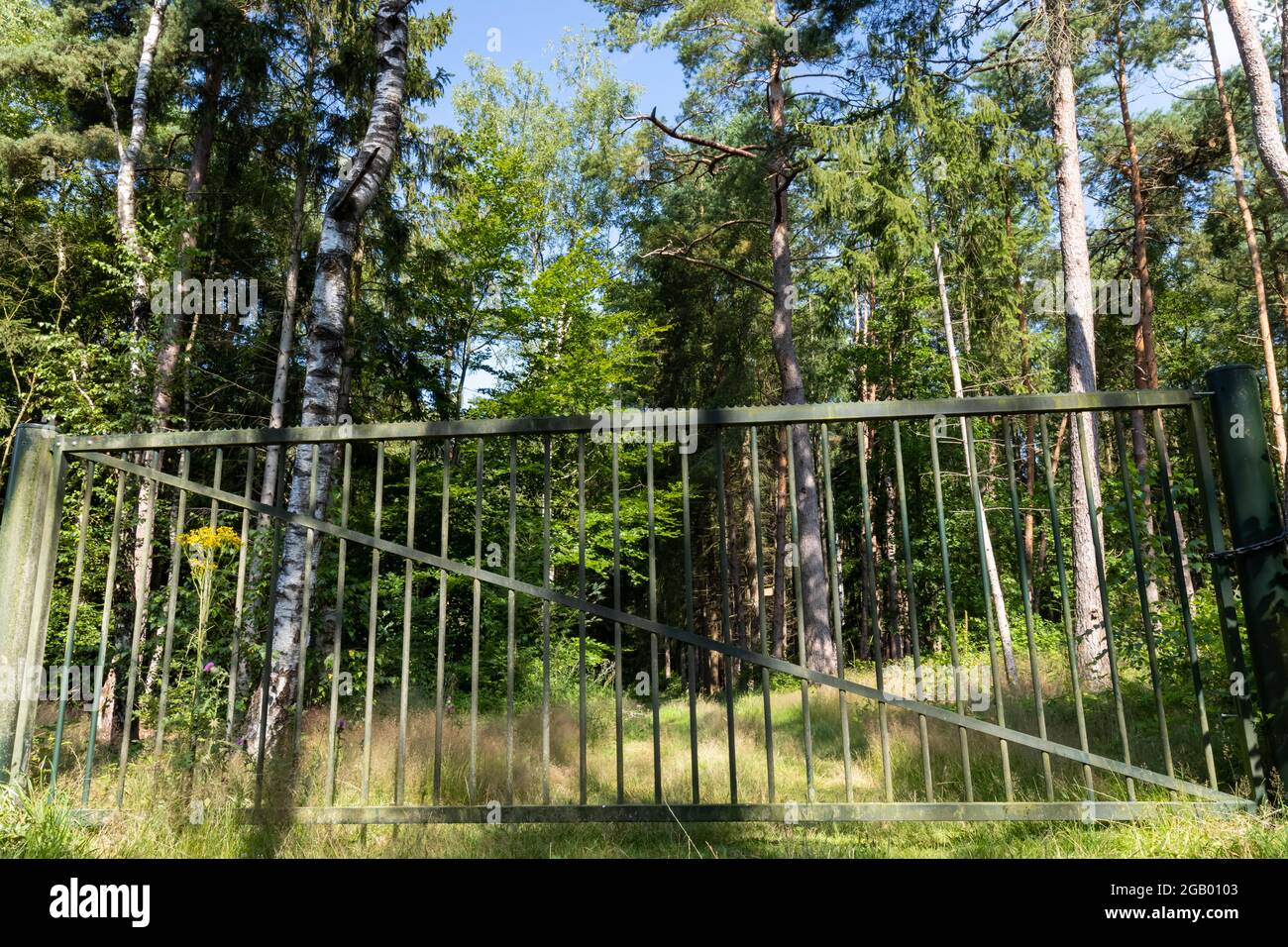 Closed gate on forest road with trees in background Stock Photo - Alamy