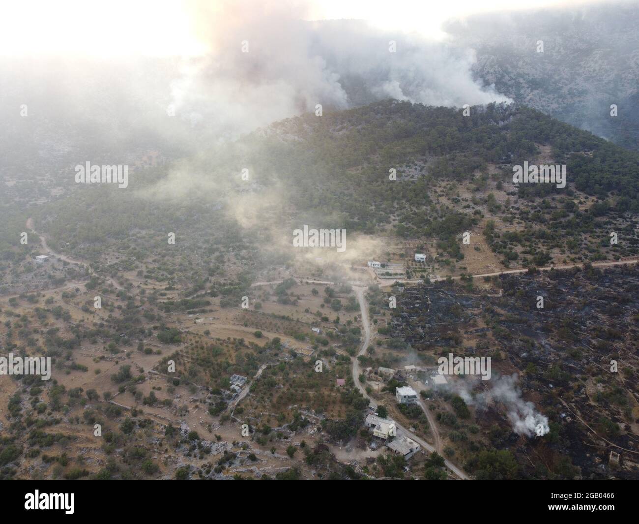 Burning forest in Mersin province, Turkey Stock Photo - Alamy