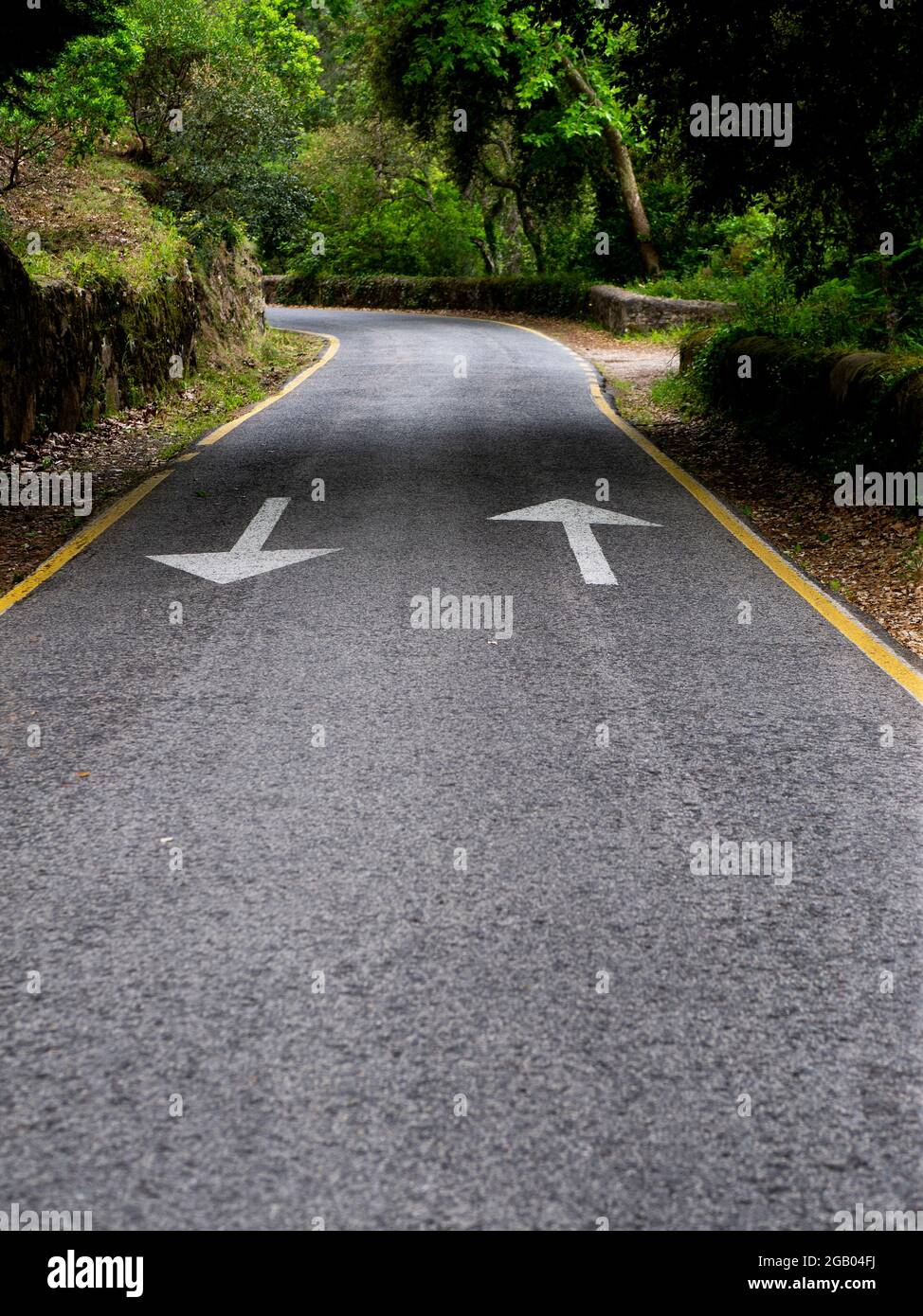 Road with arrows Stock Photo - Alamy