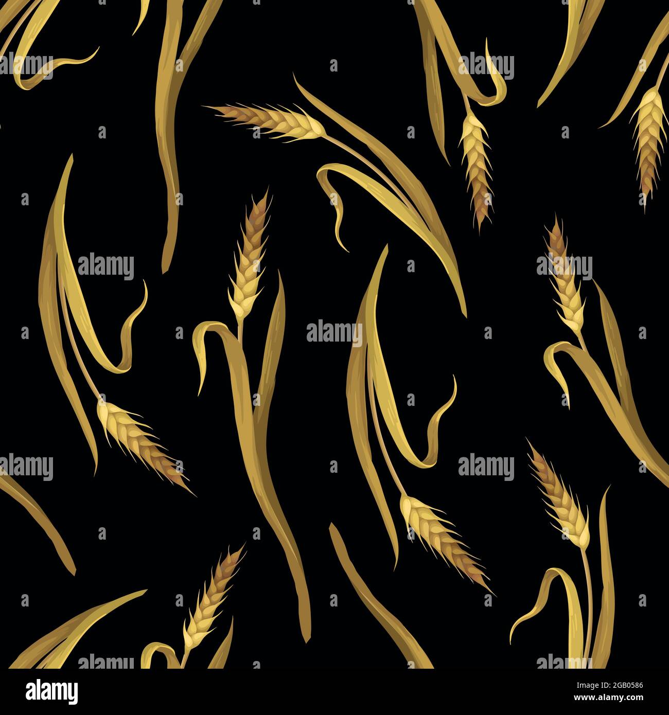 Ears of rice vector hi-res stock photography and images - Alamy