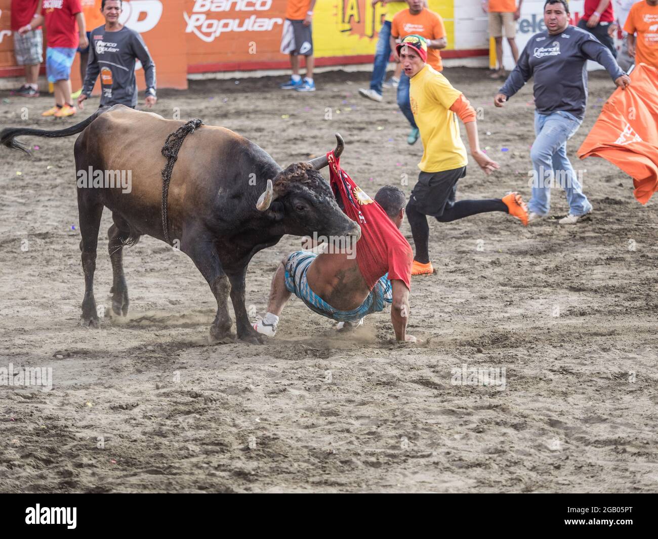 Costa rican bullfight hi-res stock photography and images - Alamy