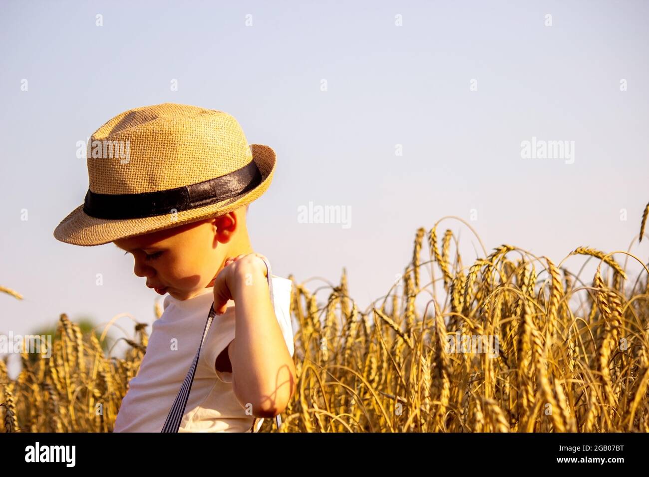 Child in a wheat field hugging a grain harvest. Farm. Nature, Selective ...