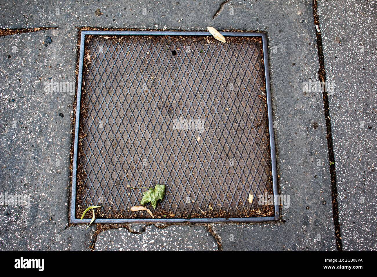 Square hatch for communications on an urban asphalt road. Close-up ...