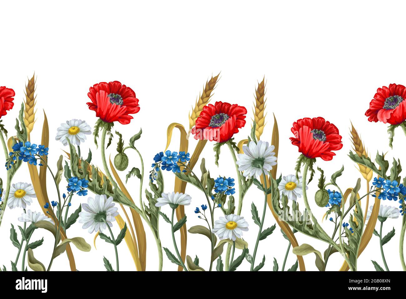 Wheat field with chamomile Stock Vector Images - Alamy