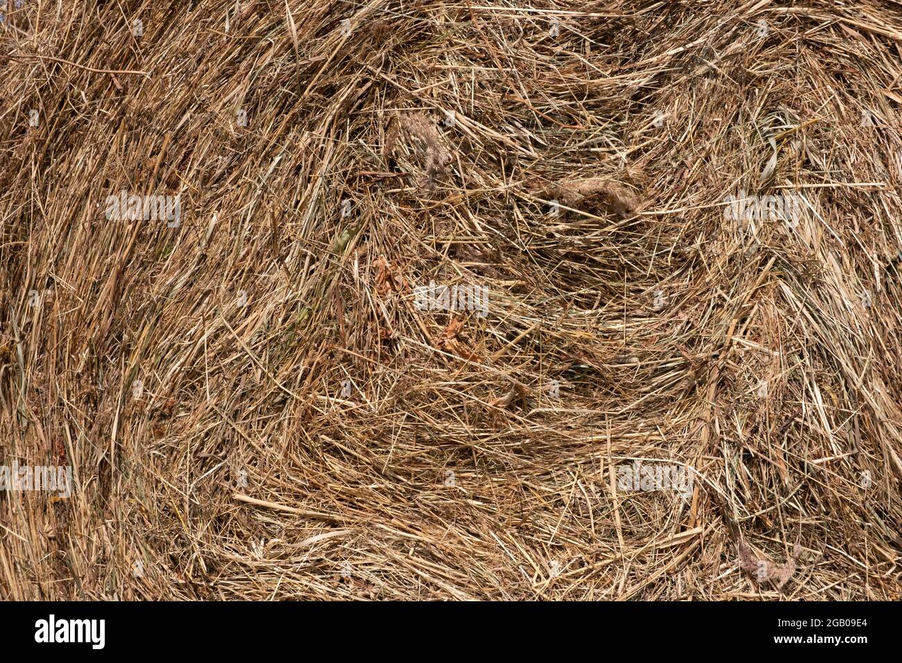 straw, dry straw texture background, vintage style for design Stock ...